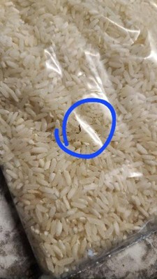 Enriched Long Grain White Rice - 1lb - Good & Gather™ : Target