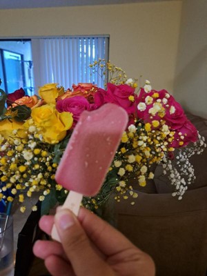 Talenti Roman Raspberry Frozen Mini Sorbetto Bars - 6pk/11.1 Fl Oz : Target