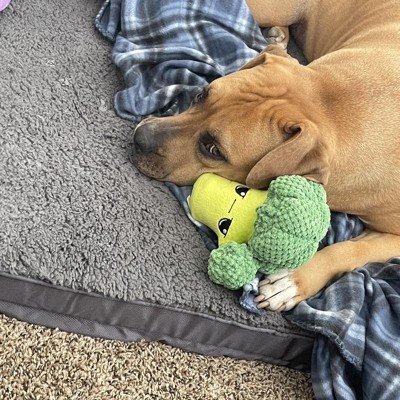 Bark Punk Brocc Broccoli Dog Toy : Target