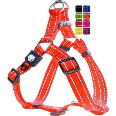 Ddoxx Nylon Step-in Chest Dog Harness - Large - Orange : Target