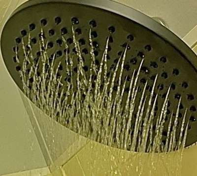 Universal Showering Components Single-setting Metal Raincan Shower Head ...