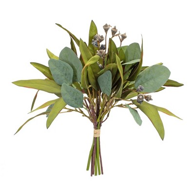Melrose Variegated Foliage Plant (set Of 6) : Target