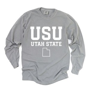 USU Utah State - Women's Garment Dyed Long Sleeve Graphic T-Shirt : Target