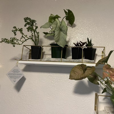 2pk 18" Benbrook Wood And Metal Wall Shelf Set White - Kate & Laurel ...