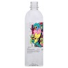 Lifewtr Enhanced Water - 20 Fl Oz Bottle : Target