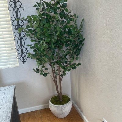 72" Artificial Ficus Tree - Threshold™ Designed With Studio Mcgee : Target