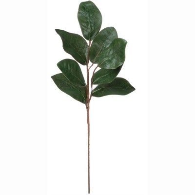 Sullivans Artificial Magnolia Leaf Spray 24"h Green : Target