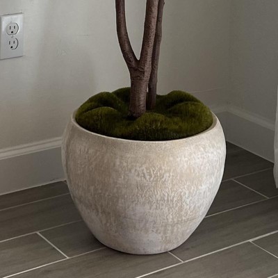 72" Artificial Ficus Tree - Threshold™ Designed With Studio Mcgee : Target