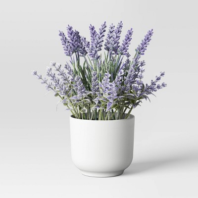 14" Privet Artificial Plant - Threshold™ Designed With Studio Mcgee ...