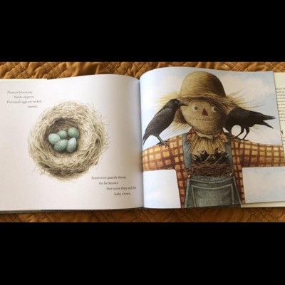 The Scarecrow - By Beth Ferry (hardcover) : Target