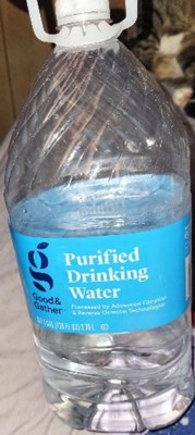 Purified Water - 128 Fl Oz (1gal) - Good & Gather™ : Target