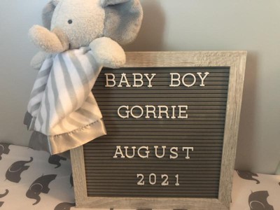 Pearhead Letterboard Wall Sign Panel - Gray : Target