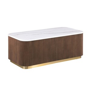 Furniture of America Keith Modern Rectangle Marble Top Coffee Table ...