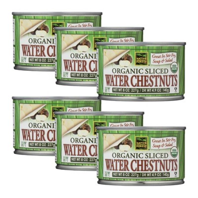 Reese Sliced Water Chestnuts 8oz : Target