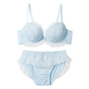 Milanblocks Coquette Matching Floral Embroidered Lace Lingerie Set Blue ...