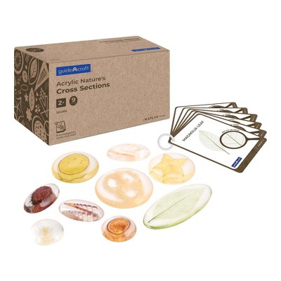 Kaplan Early Learning Acrylic Nature's Cross Sections : Target