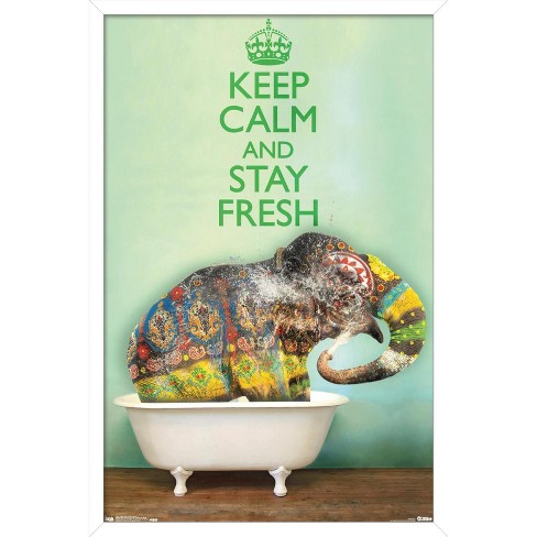 Trends International Keep Calm And Stay Fresh Framed Wall Poster Prints ...