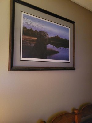 3m Claw Drywall Picture Hanging Kit : Target