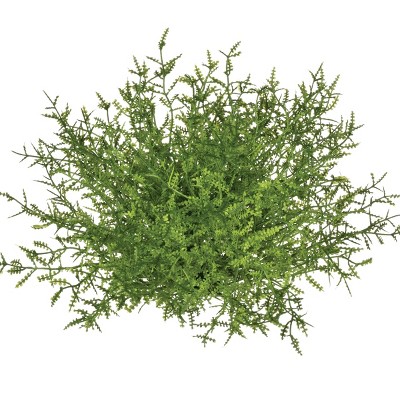 Sullivan's Feather Fern Half Orb, Light Green Faux Floral Decor for ...