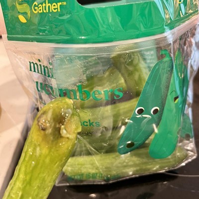 Mini Cucumbers - 16oz Bag - Good & Gather™ (packaging May Vary) : Target