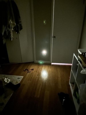 Globe Electric 2pk Led Always On Flat Panel Night Lights : Target