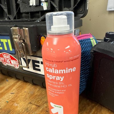 Spray Calamine Lotion - 4.1oz - Up&up™ : Target