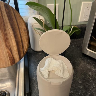 Biom Santal Escape All Purpose Cleaning Wipes Refill - 60ct : Target