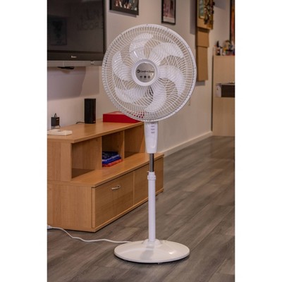 Oscillating : Fans : Portable & Ceiling Fans : Target