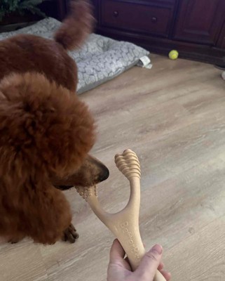 Betterbone Hard Classic Nylon Free Dog Bone Chew Toy - L : Target