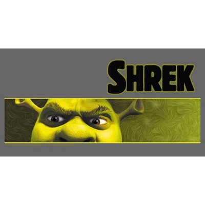 Girl's Shrek Banner Eye Focus T-shirt - Black - Small : Target