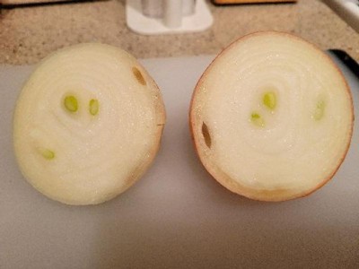 Yellow Onions - 3lb Bag - Good & Gather™ : Target