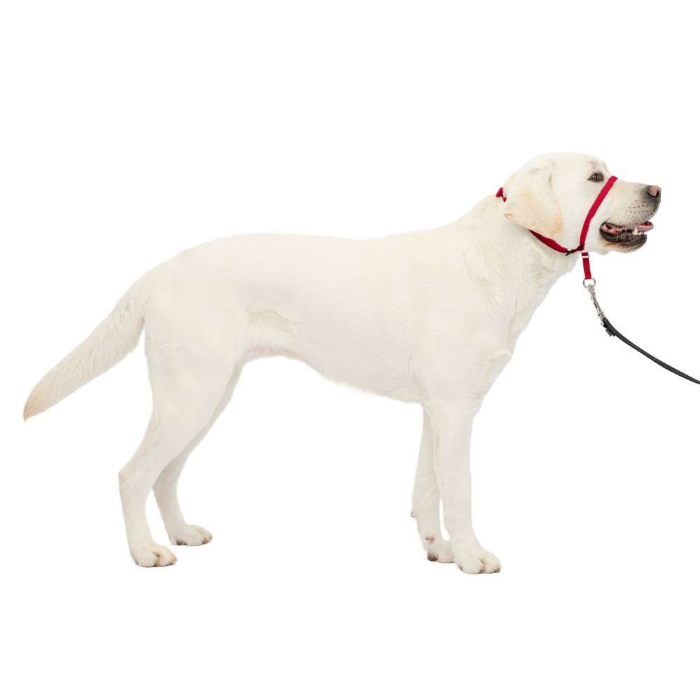 PetSafe Gentle Leader Headcollar Adjustable Dog Harness - L - Red - buy ...