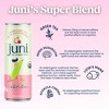 Juni Tropical Sparkling Tea Beverage - 12 Fl Oz Can : Target