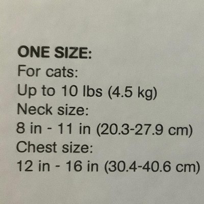 Cat Walk Tether Set - 2ct - Boots & Barkley™ : Target