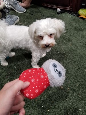 Bear & Sloth Dog Toy Set - Xs/s - 4pk - Boots & Barkley™ : Target