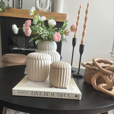 Set Of 2 Matte Ceramic Canisters - Threshold™ Designed With Studio ...