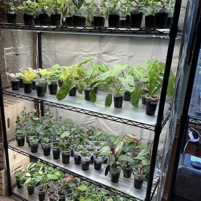 5 Tier Wide Wire Shelving - Brightroom™ : Target