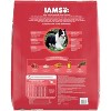 Iams Proactive Health Lamb & Rice Recipe Adult Premium Dry Dog Food ...