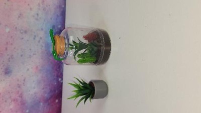 Mini Brands Garden Collectible Capsule : Target