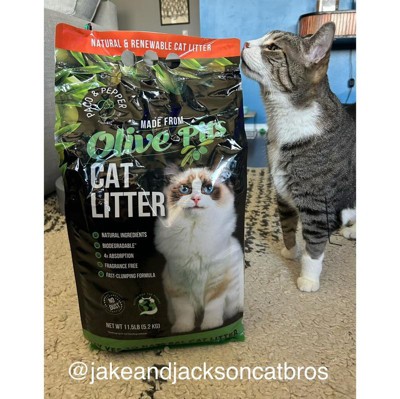 Paco & Pepper Made From Olive Pits Natural Low Dust Clumping Cat Litter ...