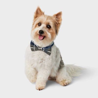 Target dog bow tie store