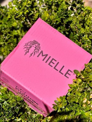 Mielle Organics Rosemary Mint Clarifying Sugar Scalp Scrub - 6oz : Target