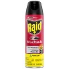Raid Ant And Roach Killer Lemon Scent - 17.5oz : Target