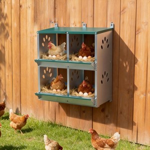 EAGLE PEAK 4 Compartment Metal Nesting Boxes for Chicken, Wall Mount ...