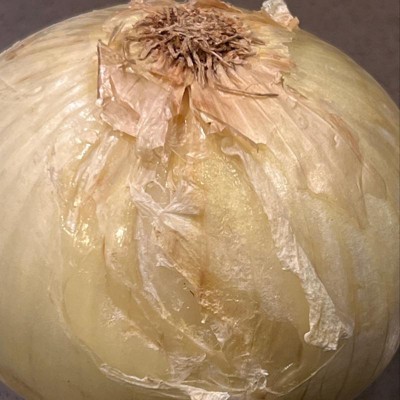 Yellow Onion - Each : Target