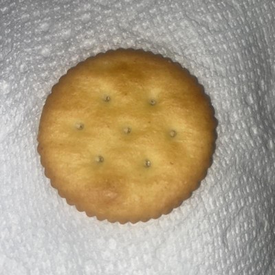 Ritz Hint Of Salt Crackers - 13.7oz : Target