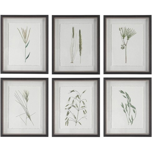 Uttermost Forest Finds 22" High 6-piece Framed Wall Art Set : Target