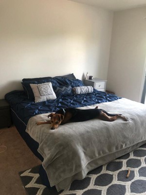 Piedmont 7 Piece Comforter Set- Navy (king) : Target