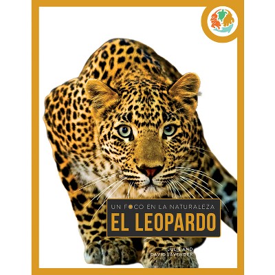 Wishes And Wellingtons - By Julie Berry (paperback) : Target