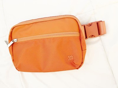 Belt Fanny Pack - All In Motion™ : Target
